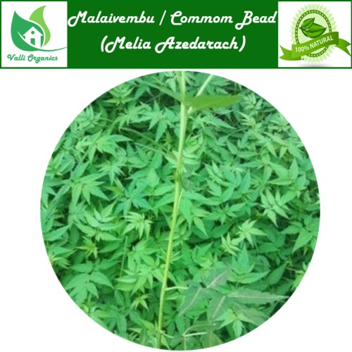 Malaivembu Fresh online at low price in Valli Organics