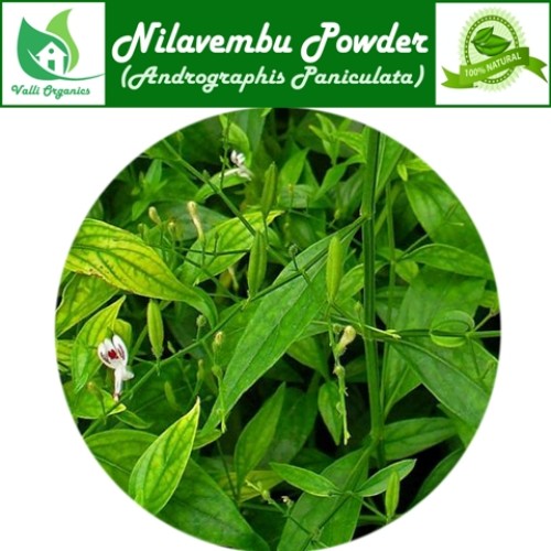 Nilavembu Powder online at low price in Valli Organics