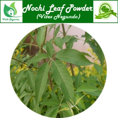 Nochi Powder online at low price in Valli Organics