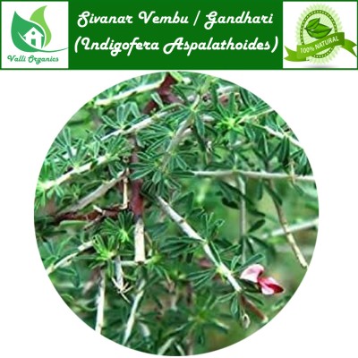 Shivanar Vembu powder online at low price in Valli Organics