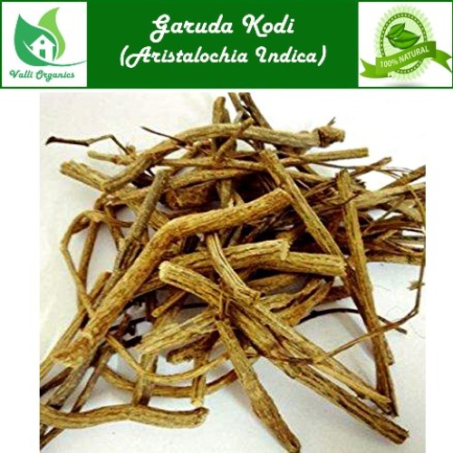 Garuda Kodi online at low price in Valli Organics