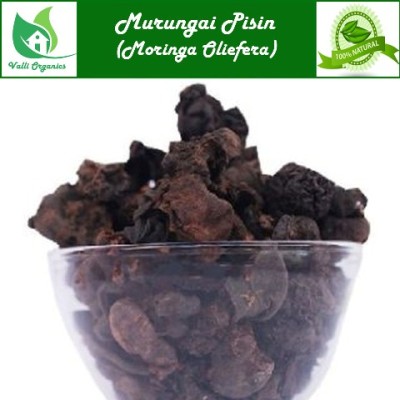 Drumstick tree gum online at low price in Valli Organics