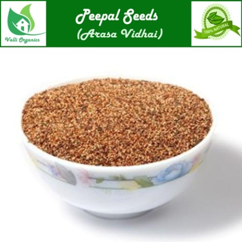 Peepal Seeds - Arasa Vidhai online at low price in Valli Organics